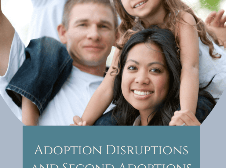 Largest Adoption Attorney Law Firm Tate Healey Webster